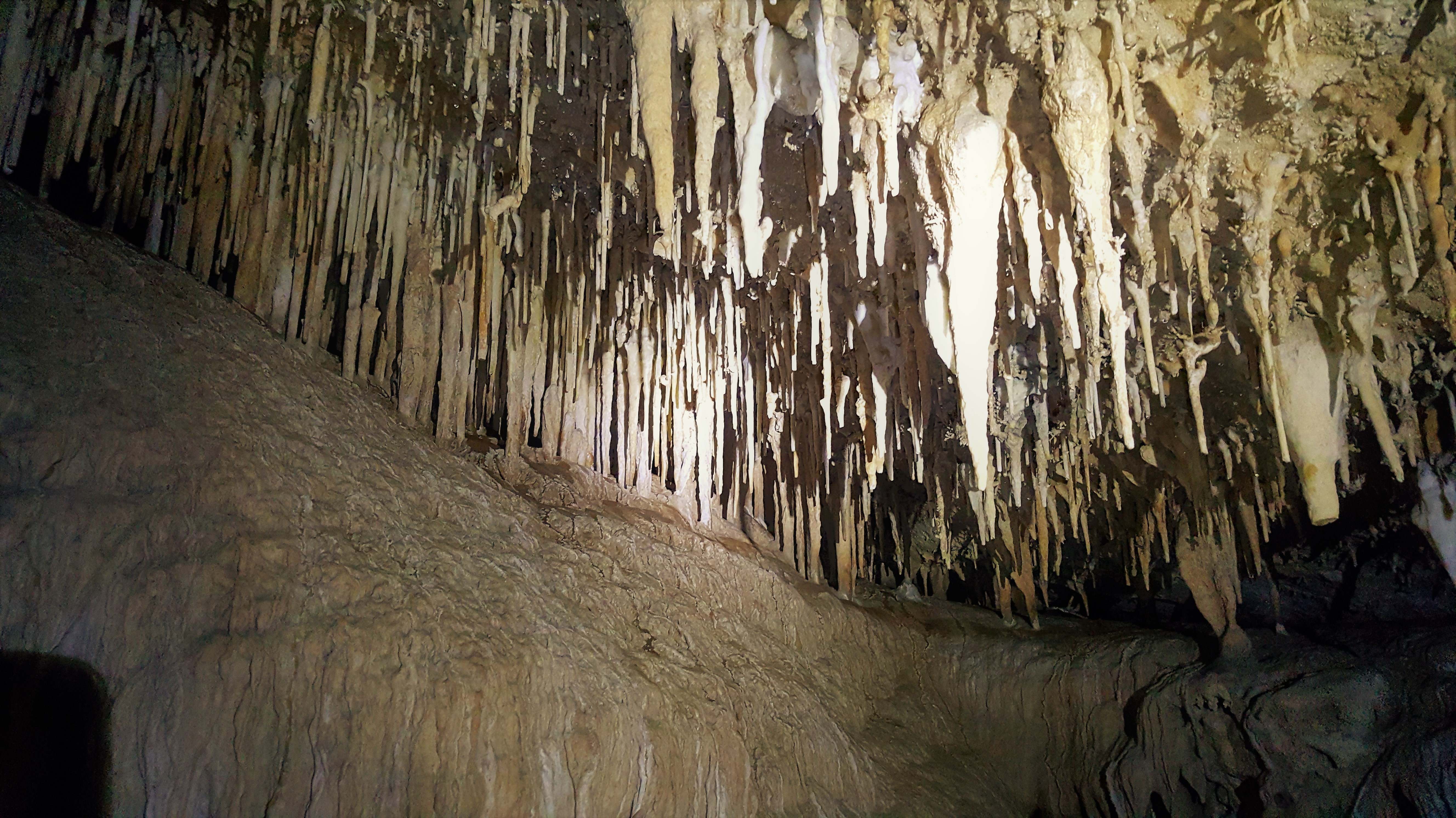 stalactites-2 – Tassietravels