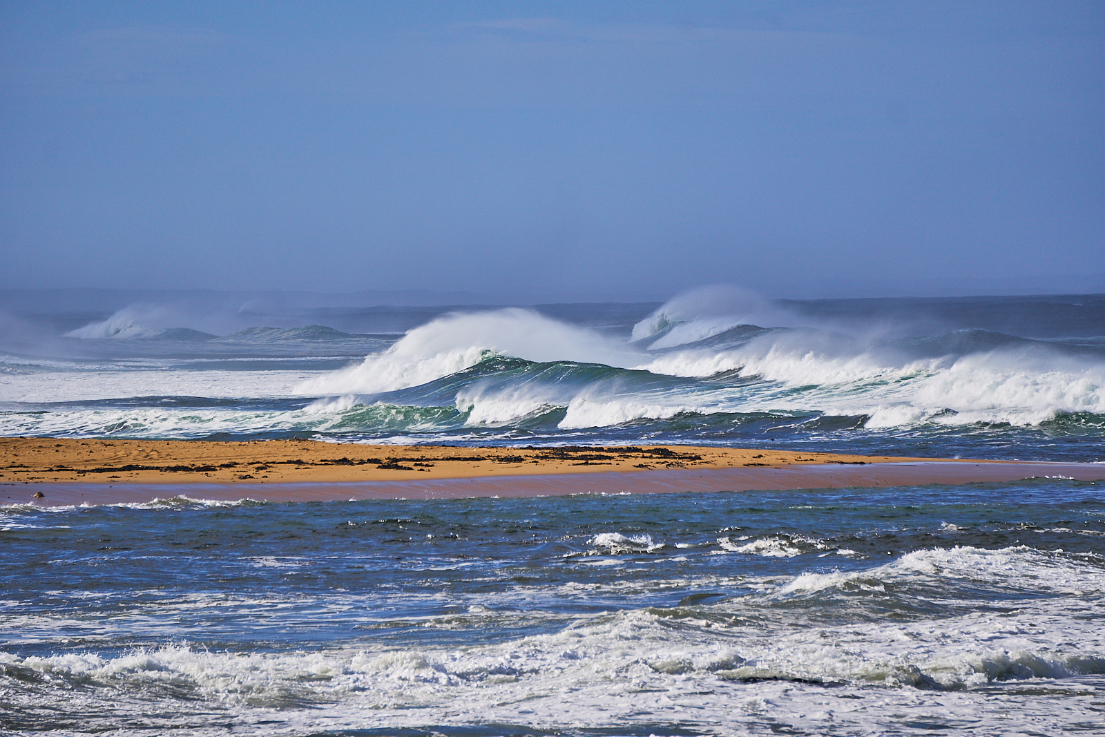 Wild Seas – Tassietravels