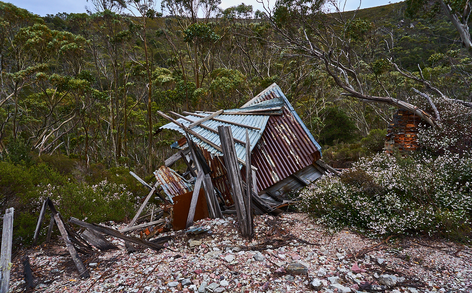 Devonport Mine Hut – Tassietravels
