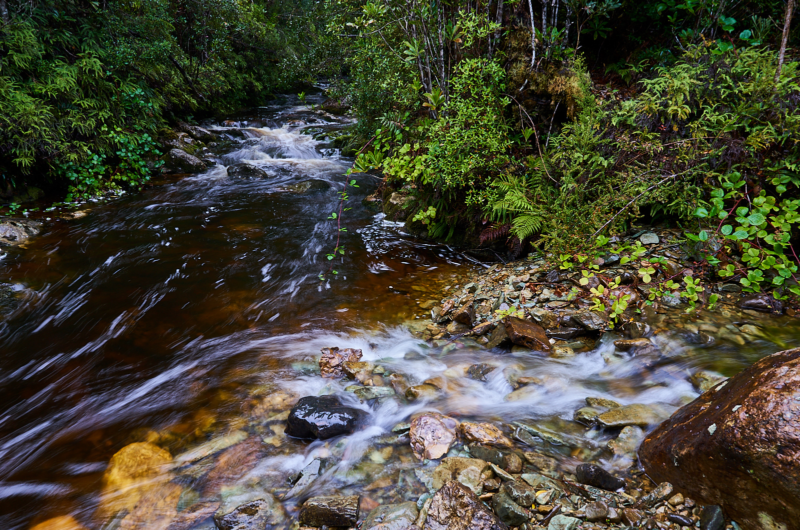 Sterling River 1 – Tassietravels