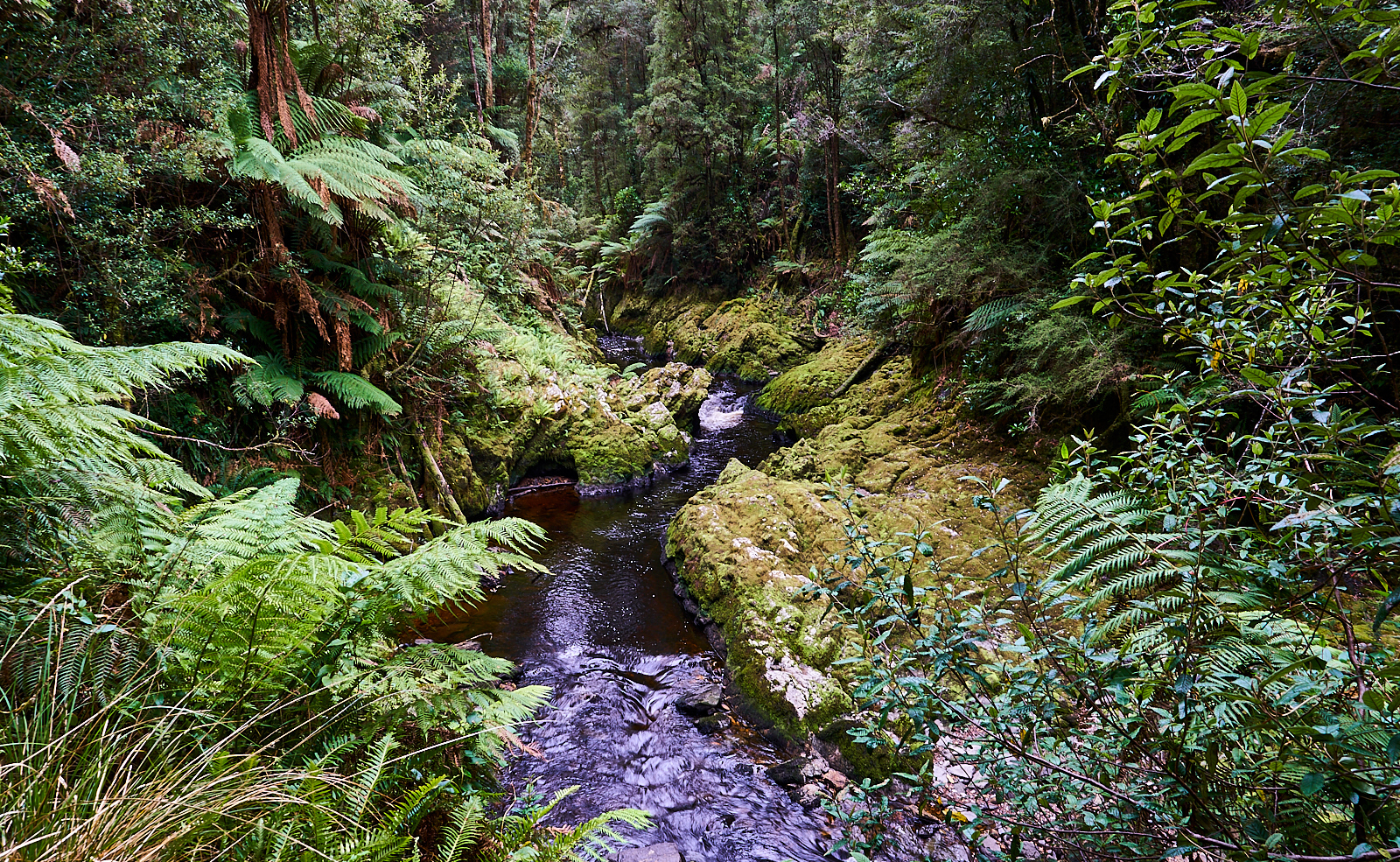 Bird River 2 1 – Tassietravels