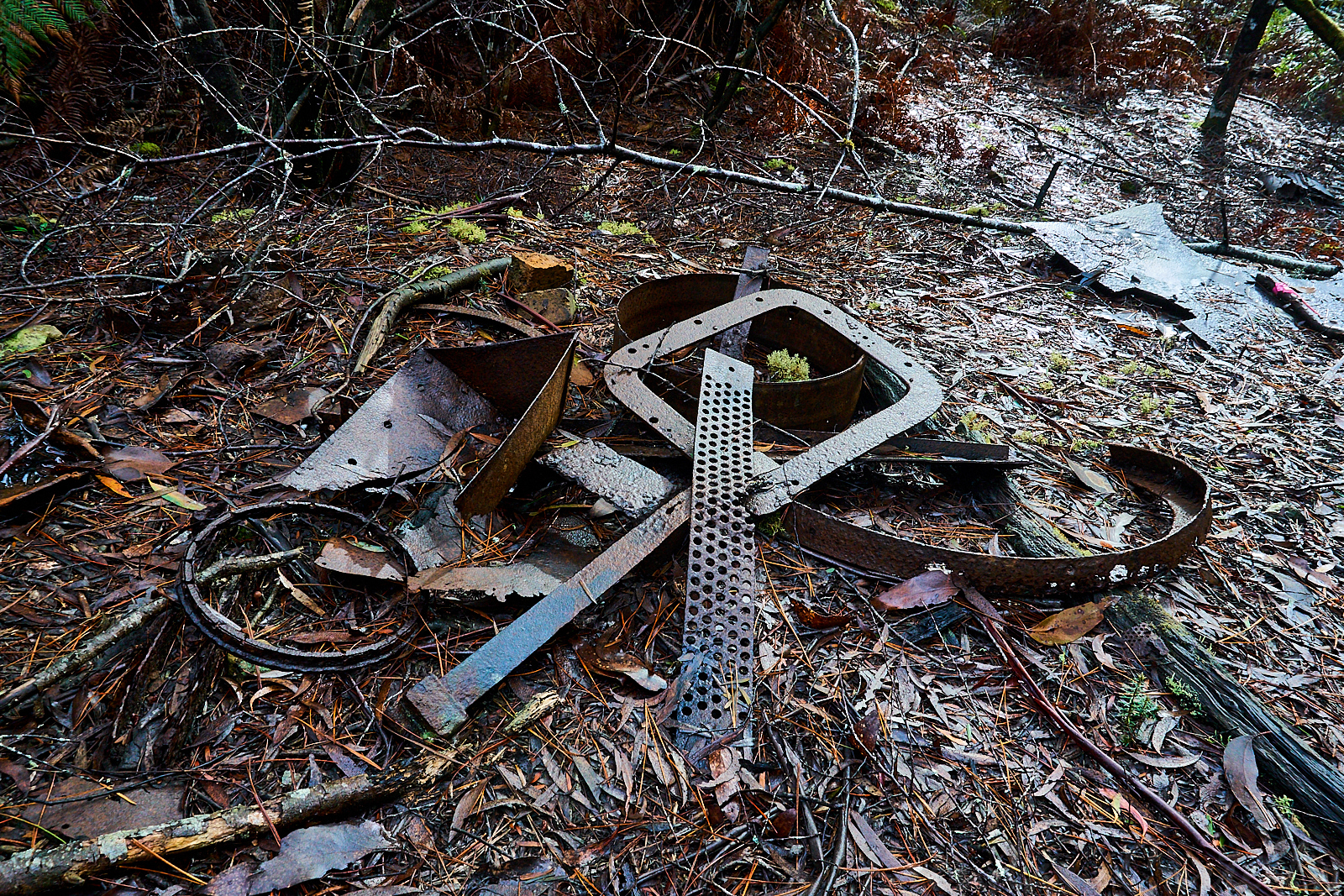 Old metal ruins 1 – Tassietravels