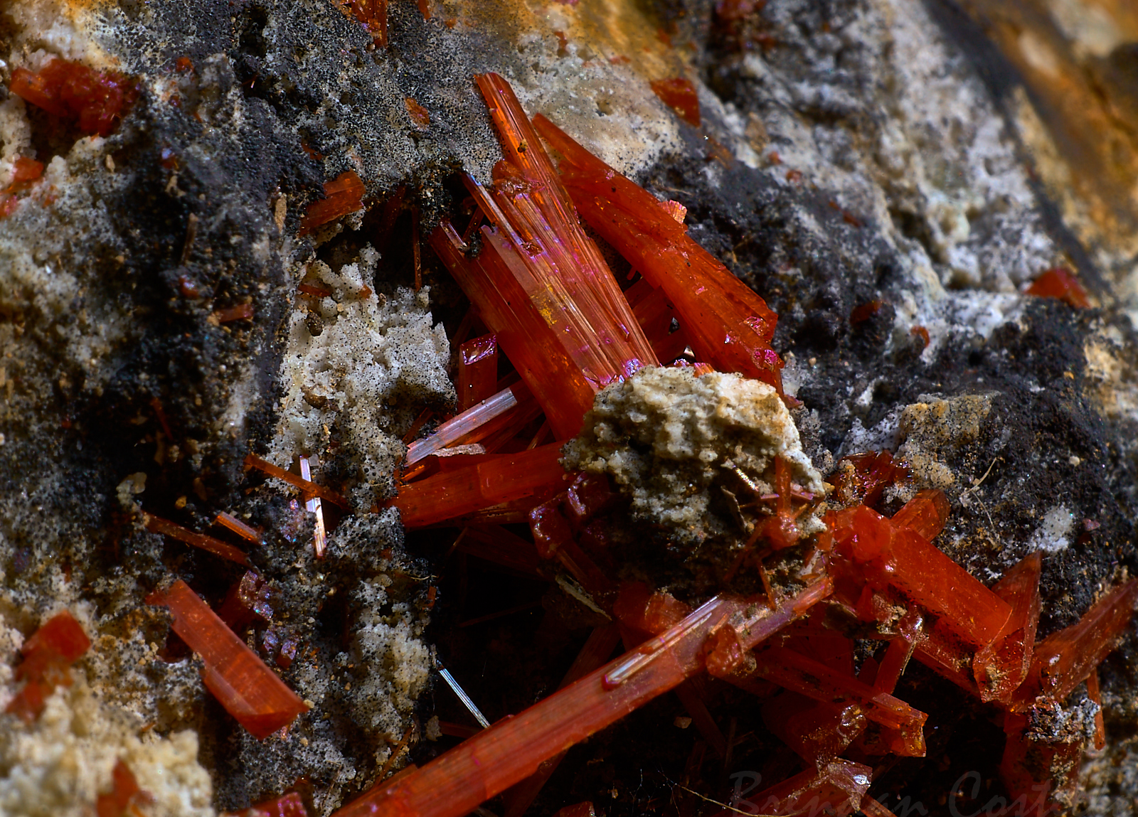 Crocoite 1 1 – Tassietravels