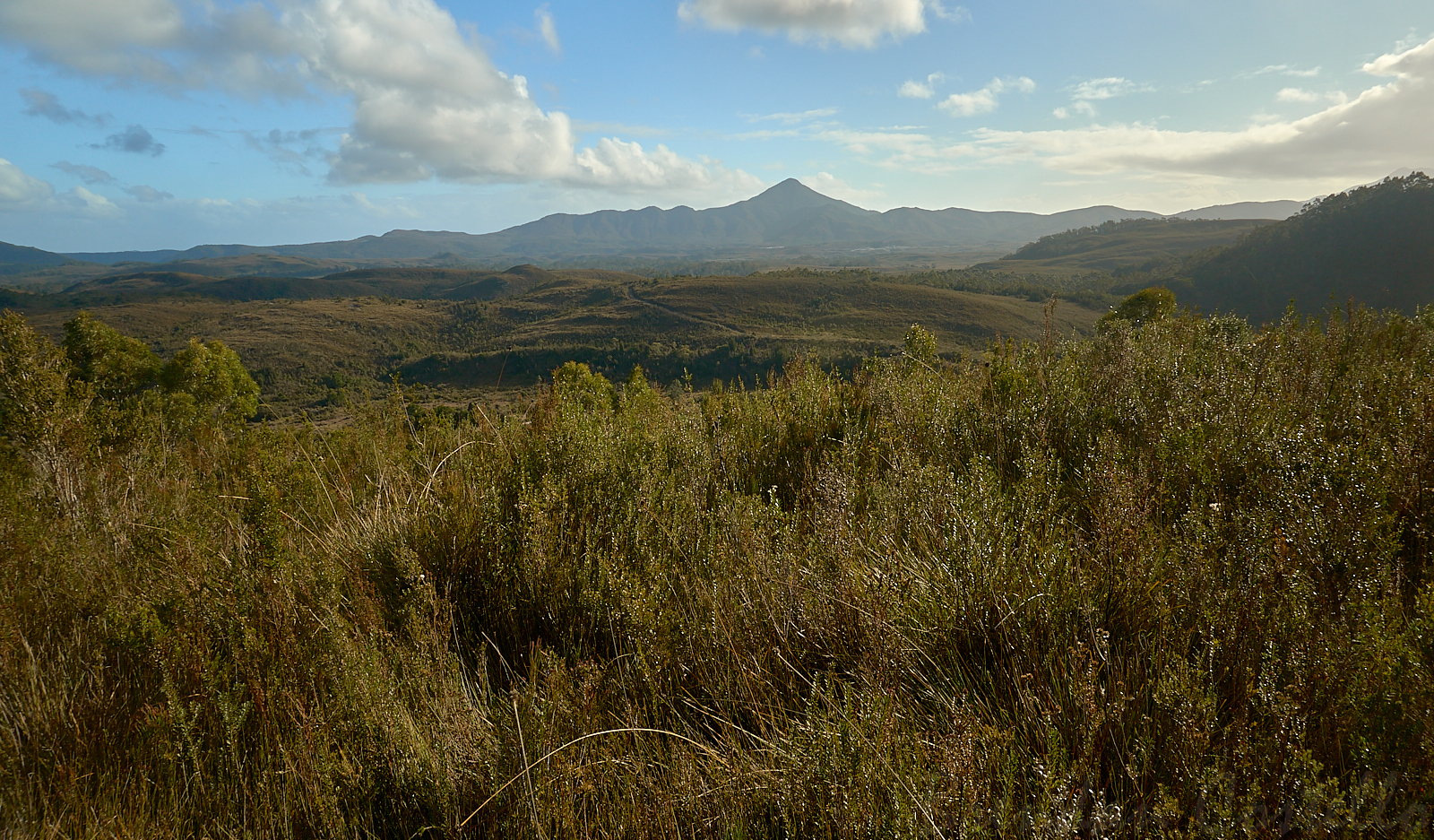 Mt Zeehan 1 – Tassietravels